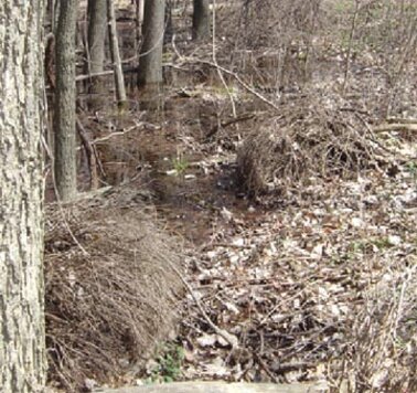 Wetlands Cases: Rapanos and Carabell – Restoring Our Heritage of ...