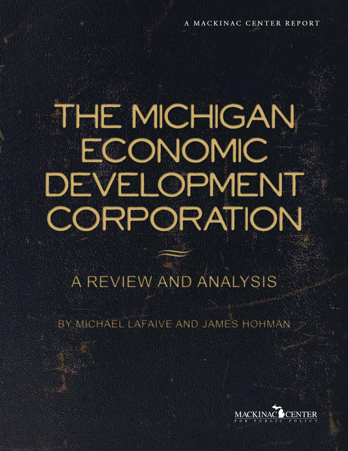 The Michigan Economic Development Corporation: A Review and Analysis ...
