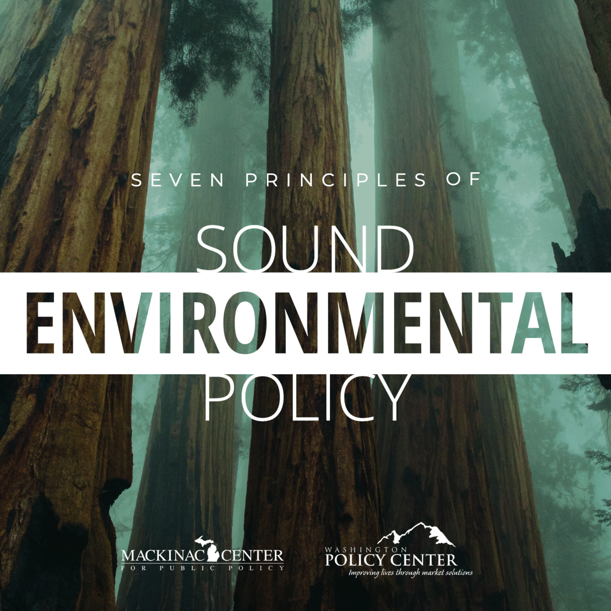 Seven Principles of Sound Environmental Policy – Mackinac Center