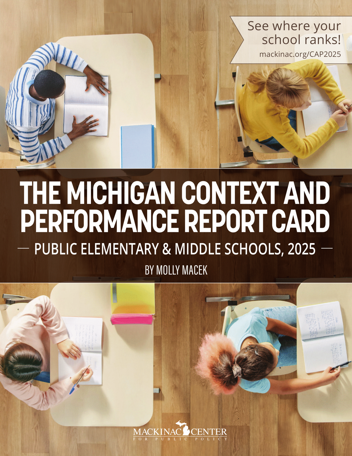 The Michigan Context and Performance Report Card: Public Elementary ...
