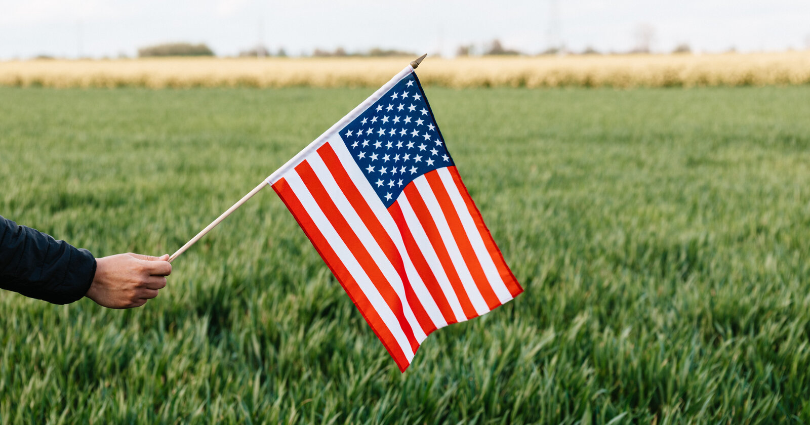 Red state, blue state, whatever – Mackinac Center